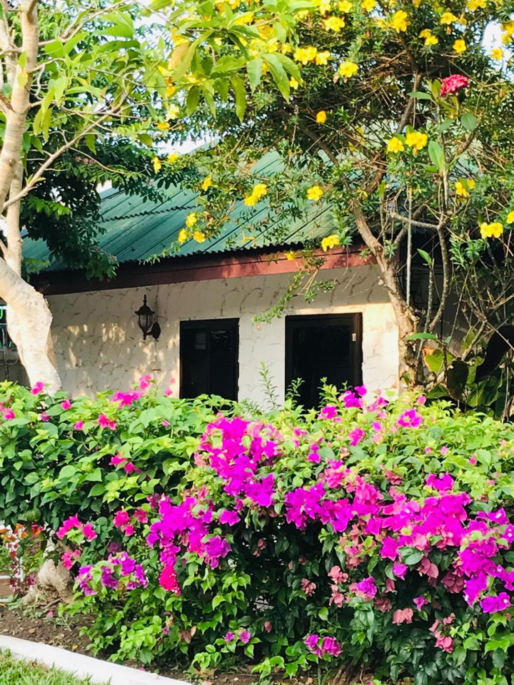 Guest House, Shared Pool, Private Bathroom And Kitchen - Phuket