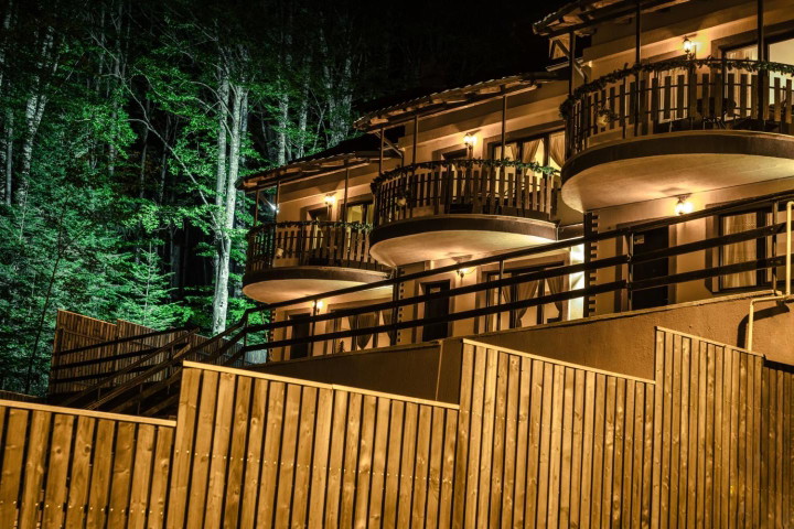 Elatos Luxury Villas Erato - Sinaia