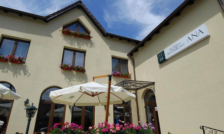 Hotel Ana - Arad
