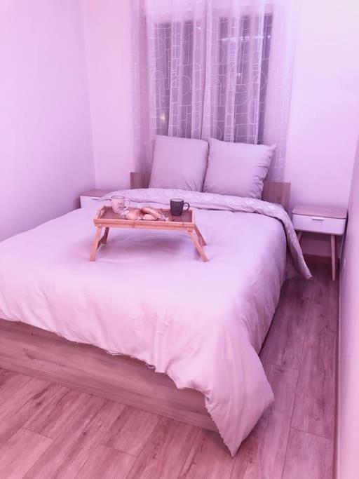 Superbe Appartement Tout éQuipé, Le Nid D'eva à Metz Gare, Parking Privé, Balcon, F2, 50m2, 3p - Metz
