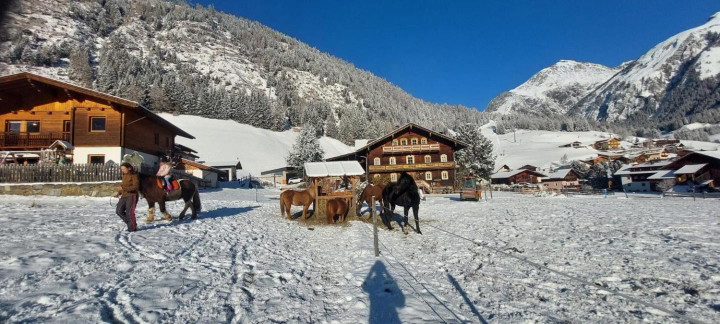 Obenfigerhof - Austria