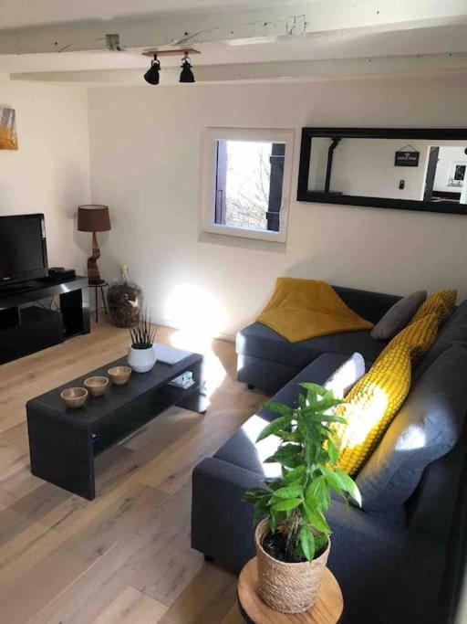 Amelie - Petite Maison Alsacienne - Haut-Rhin