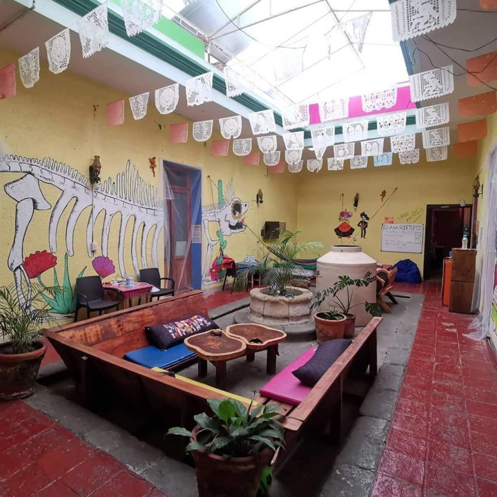 Iguana Hostel Oaxaca - Oaxaca