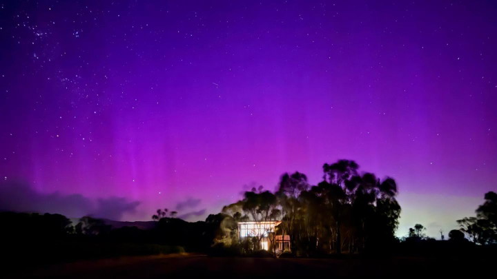 The Treehouse At Sellicks Hill - Adelaide