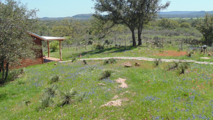 Texas T Bed And Breakfast - United States