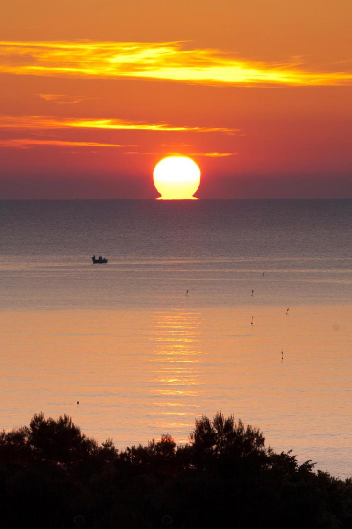 Hotel Belvedere - Porto Sant'Elpidio