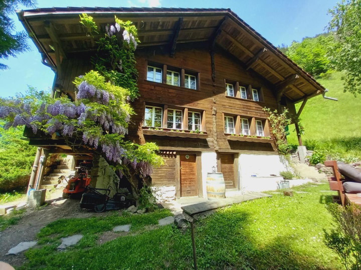 Chalet Elza - Brienz