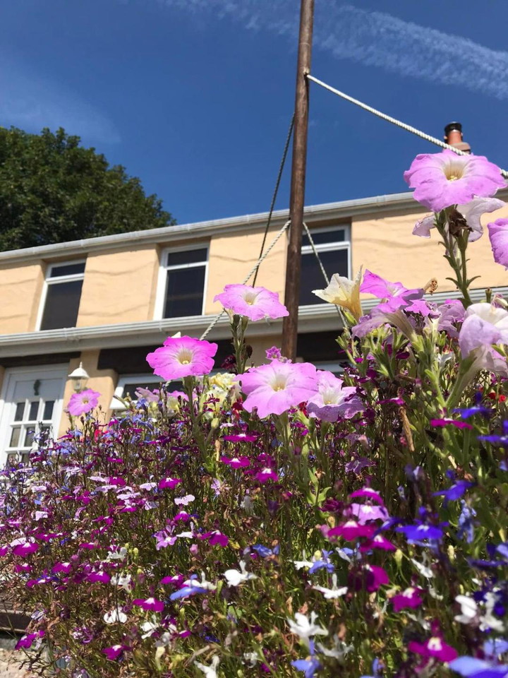 Habititabities - Tenby