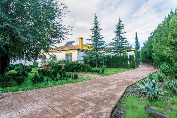 Casa Elizabeth - Andalucía