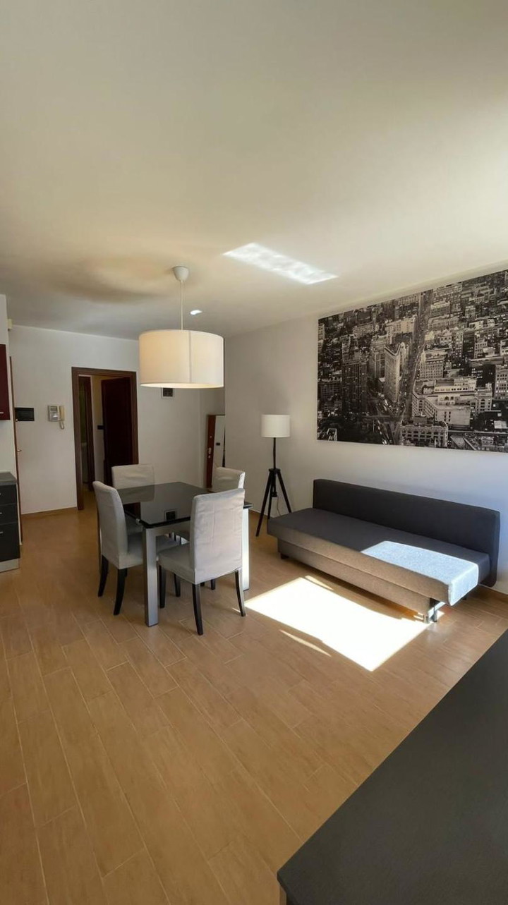 Apartment Palazzo Dei Duchi With Panoramic Terrace - Rivoli