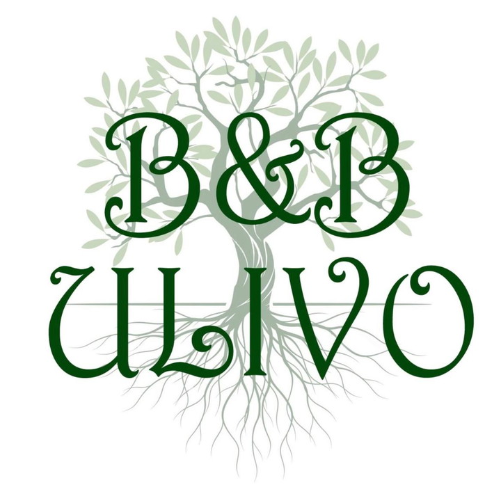 Ulivo - Erice