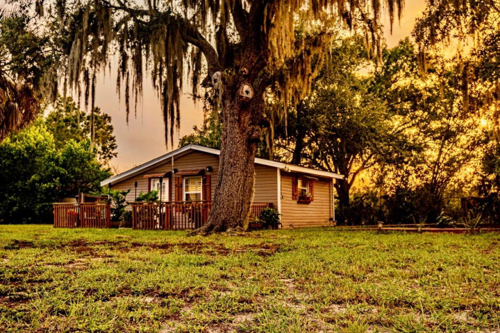The Lake Alfred Citruswood Cabin - Winter Haven
