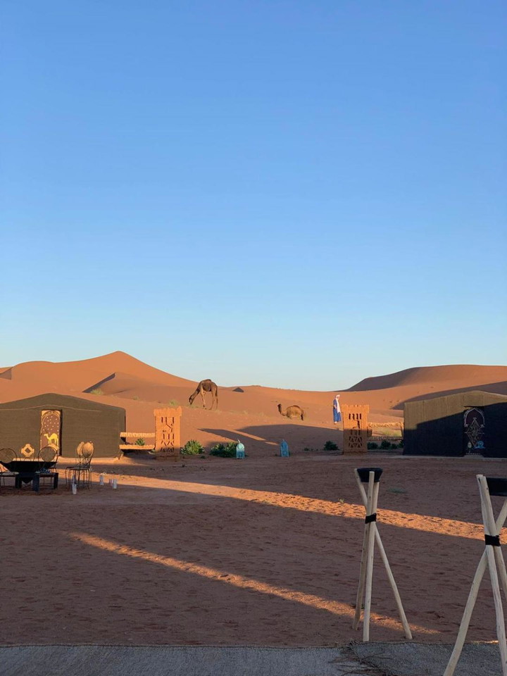 Sahara Golden Camp - Maroc