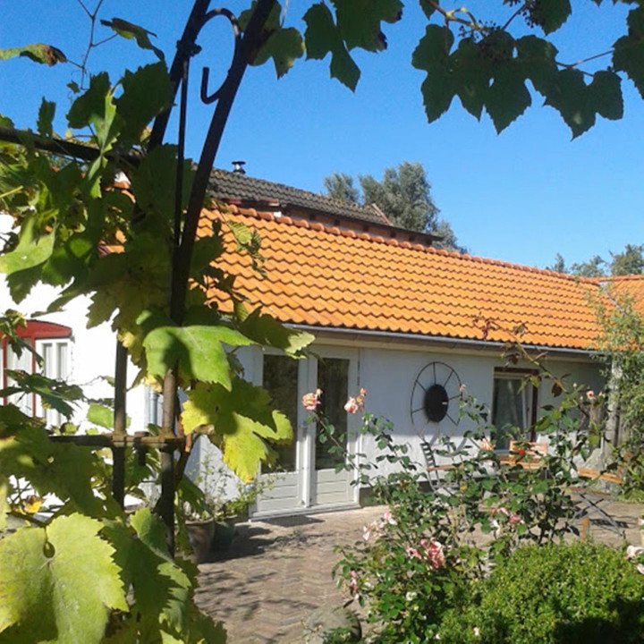 De Vrijheid-melkstal - Hollanda