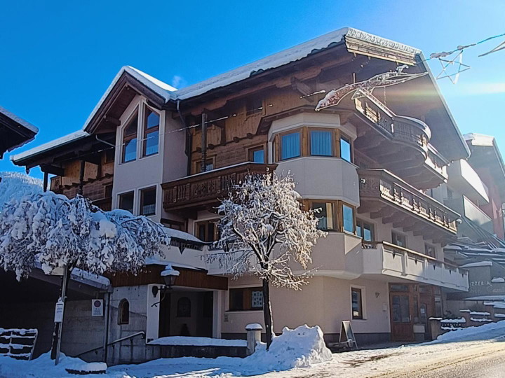 Tramberger Apartments - Alpbach