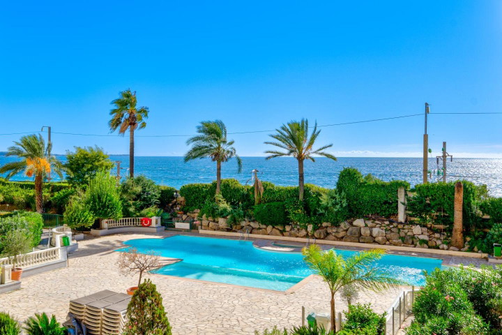 La Palme D'azur - Cannes - Grasse