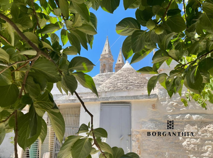 Borganthia - Il Chiostro Dei Medici - Noci