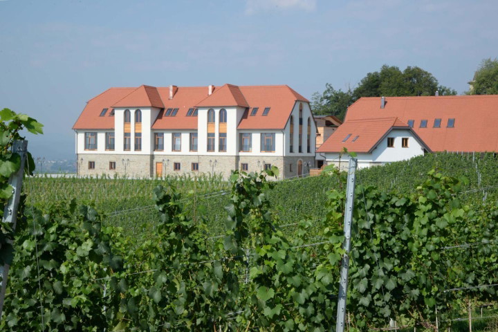 Weingut Taggenbrunn - Carinthia