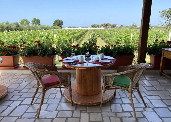 B & B Vigna Di Filippo - Paestum - Paestum