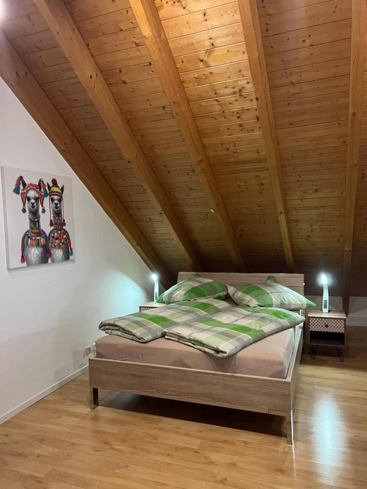 Ferienwohnung Zentral In Lörrach - Konus Gästekarte Inklusive - Lörrach