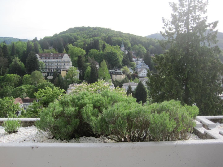 Appartement Panoramablick - Baden-Baden