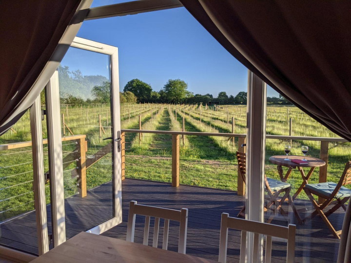 Wolds Wine Estate - Melton Mowbray