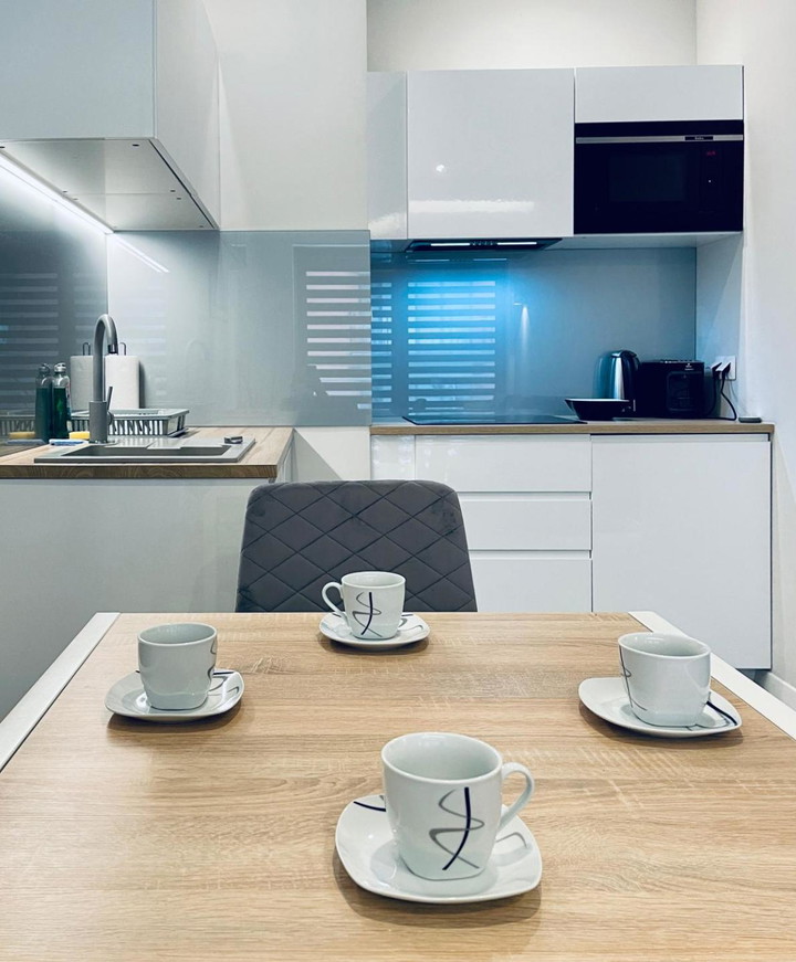 Modern Silver Apartment - Cracovia