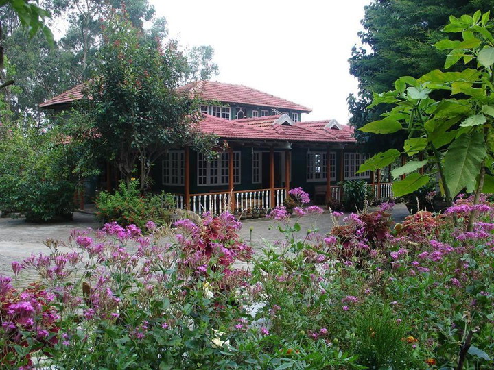 Lilly's Valley Resort - Kerala
