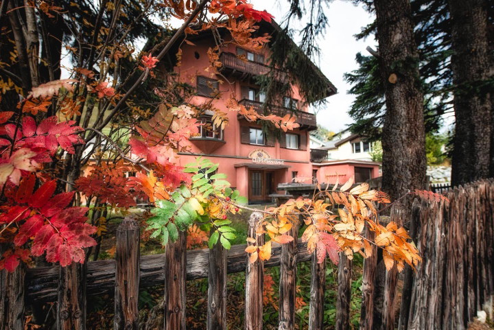 Chalet Speciale - Celerina - Bever