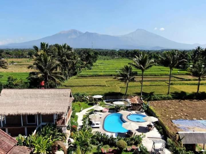 Tetebatu Flush Harmony - Lombok