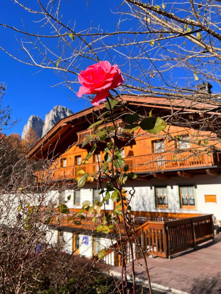 Agriturismo Busa Dei Sbrase - Agordo