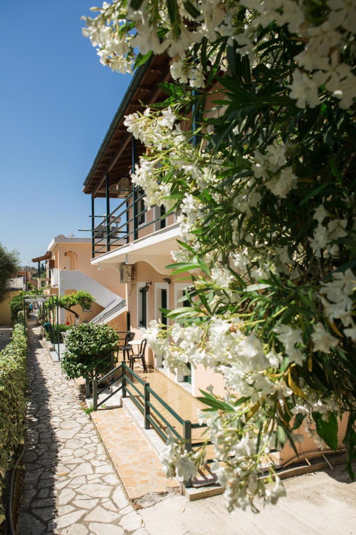 Lora Apartments & Studios With Balcony In Ipsos Corfu - Corfu