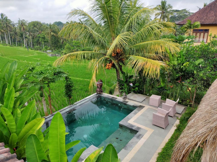 Dukuh Village Villas & Art - Bali