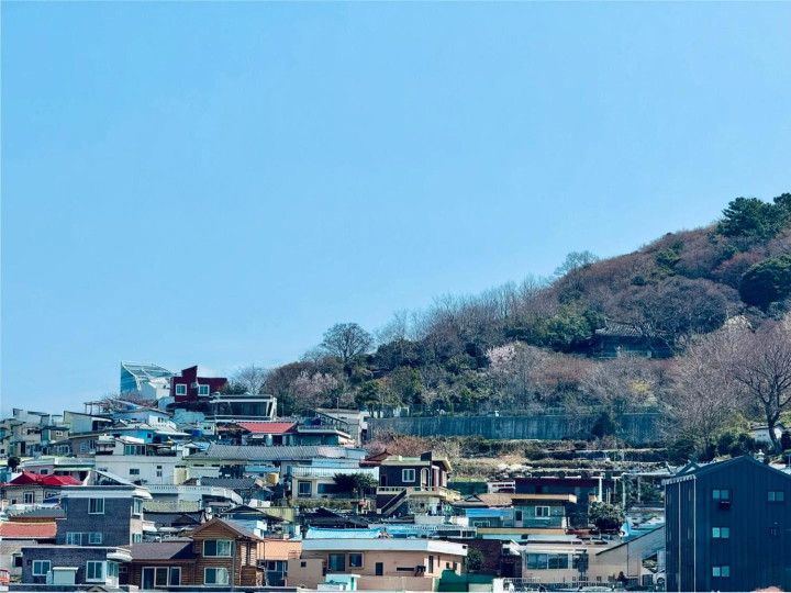 Lime Hostel - South Korea