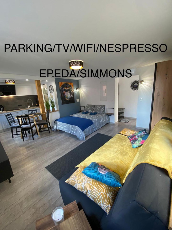 Studio Tout Confort, à 2 Min De Colmar - Colmar