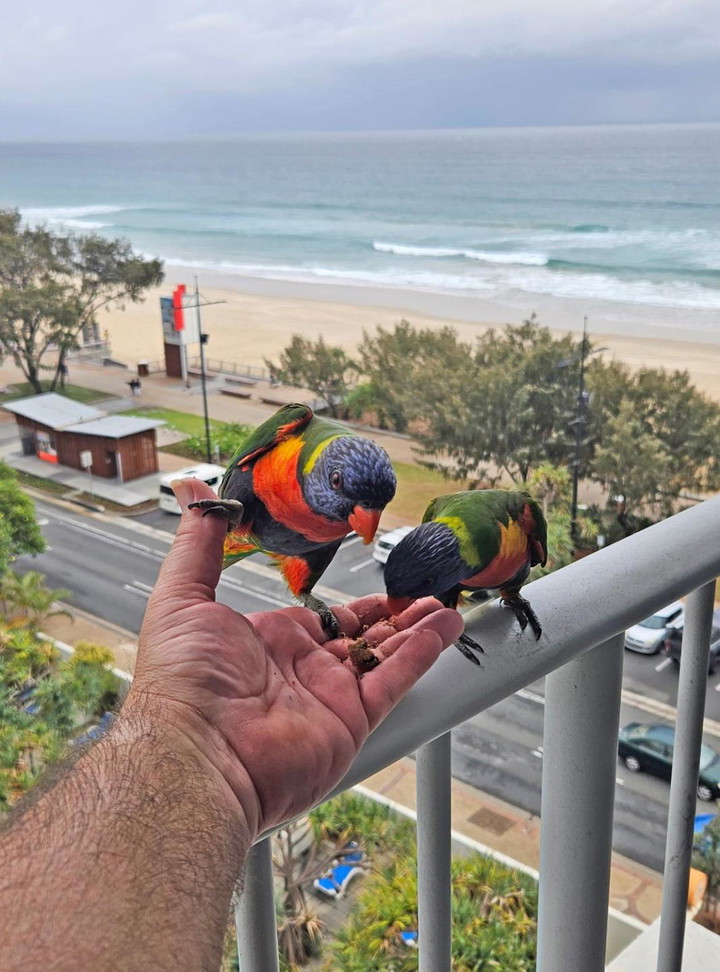 Beachfront Studio - Gold Coast