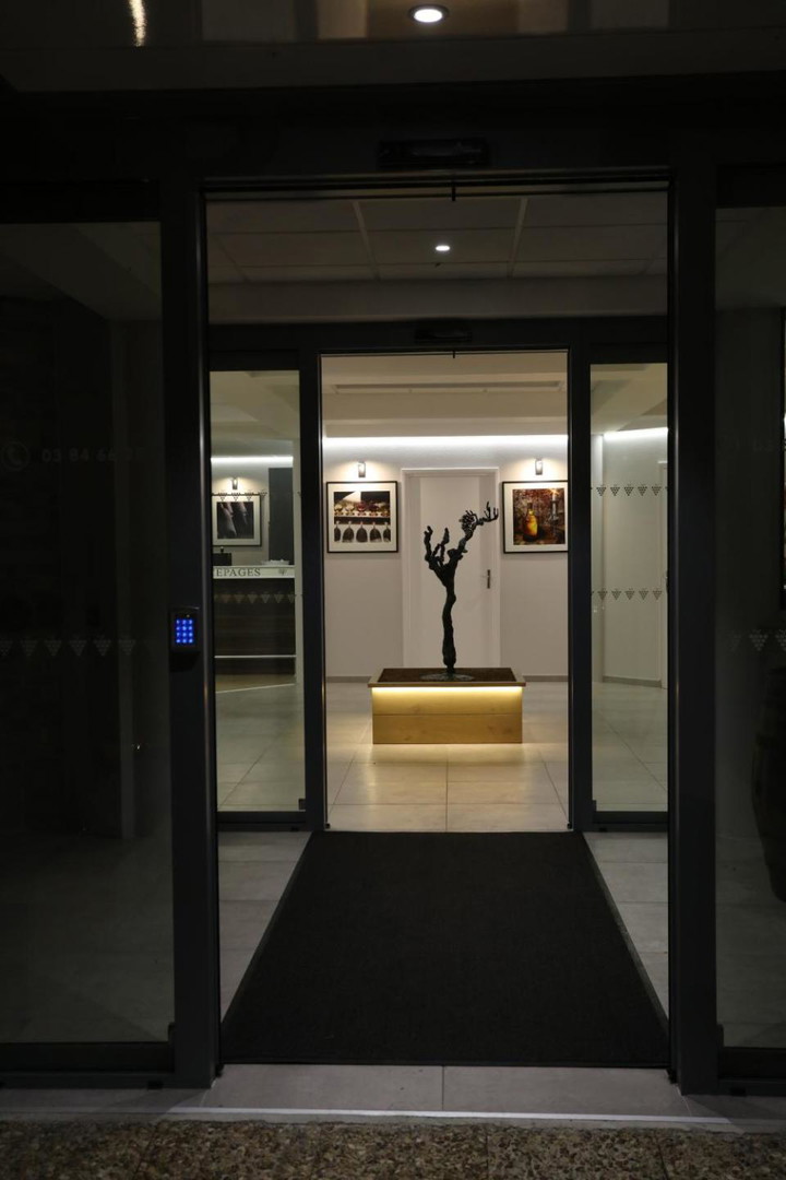 Logis Hotel Des Cépages - Salins-les-Bains
