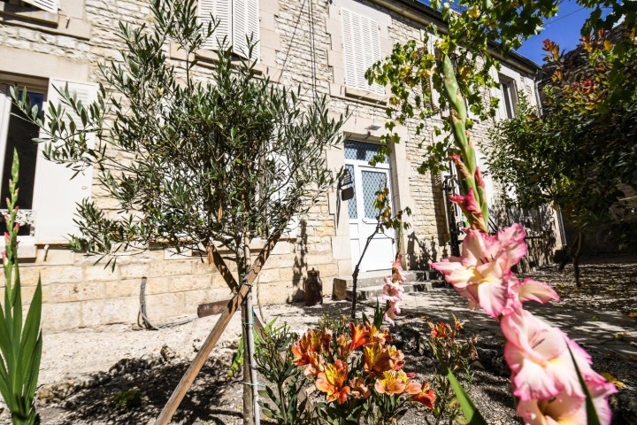 Les Crins Du Vignoble - Aube
