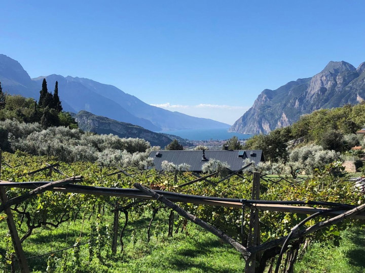 Da La Babi B&b - Rovereto