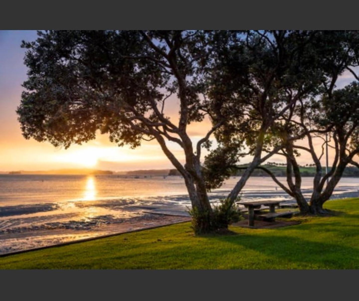 Beachfront Bliss - Warkworth