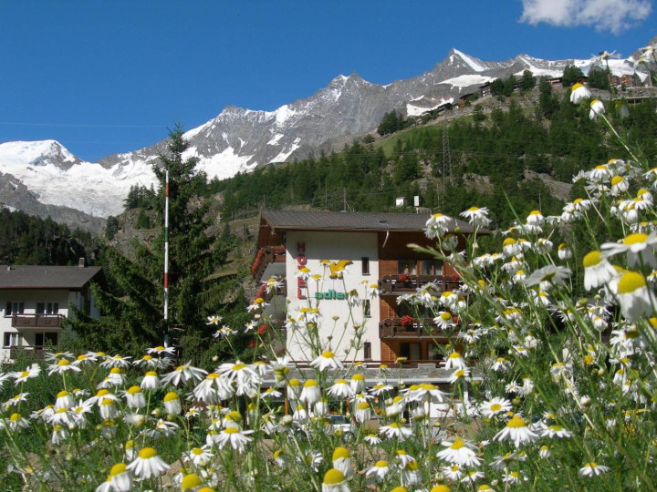 Hotel Adler - Täsch