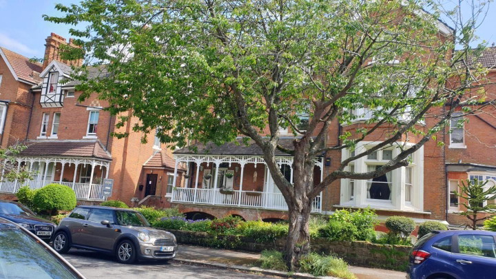 Beautiful Garden Apartment In Leafy St Leonards 5 Mins To Beach - Battle