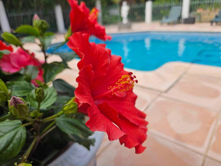 Les Jardins Du Patriarche Hôtel - Occitanie