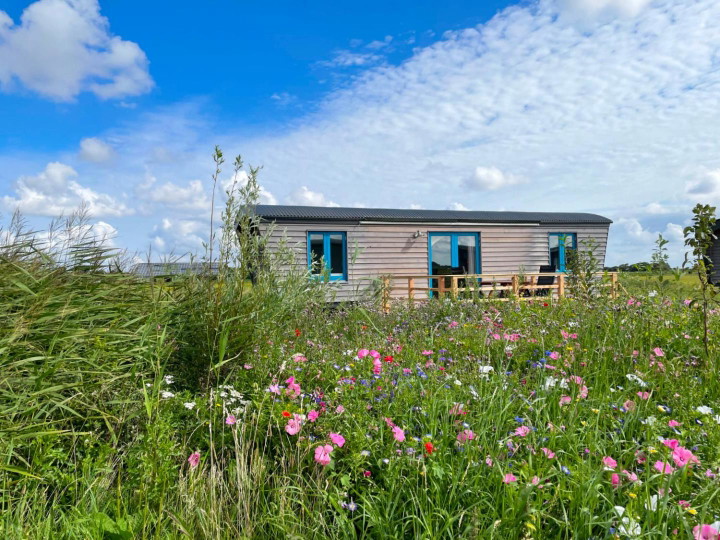Schäferwagen Tiny House Auf Dem Friesenhof - Schleswig-Holstein