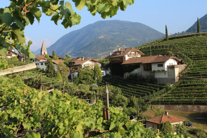 Weingut Eberlehof - Bolzano