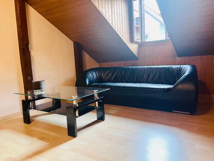 Boutique Loft Bonnie Thuner Altstadt - Thoune