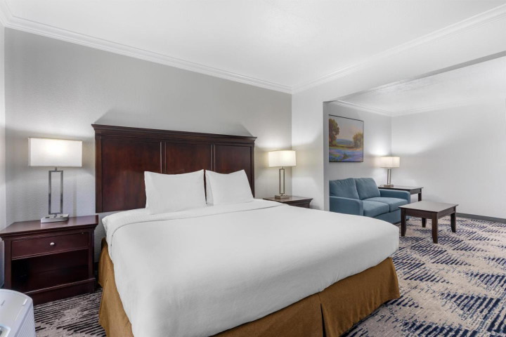 Best Western Plus Southpark Inn & Suites - Tyler, TX