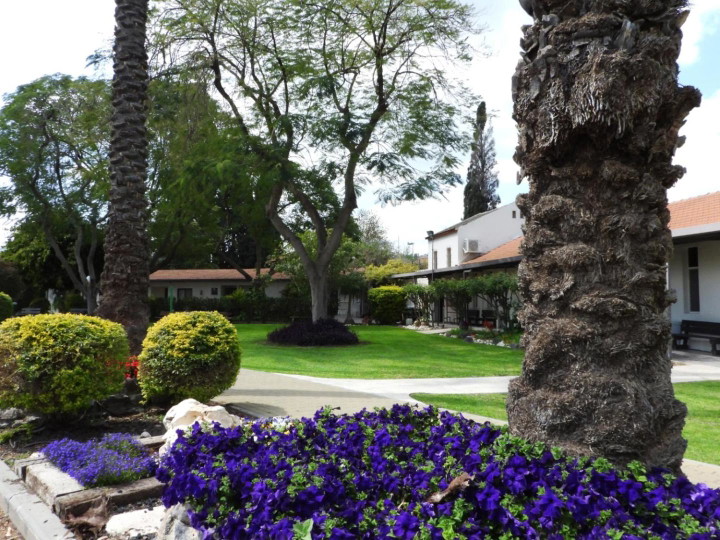 Degania Bet Kibbutz Country Lodging - Israel