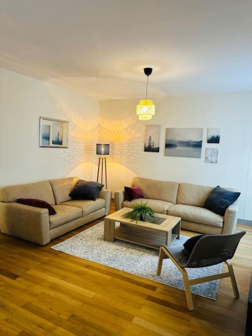 Appartement Spacieux En Centre Ville - Vendôme