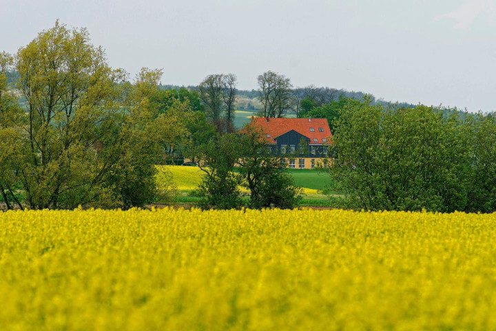 Landhaus Heidekrug - Lower Saxony